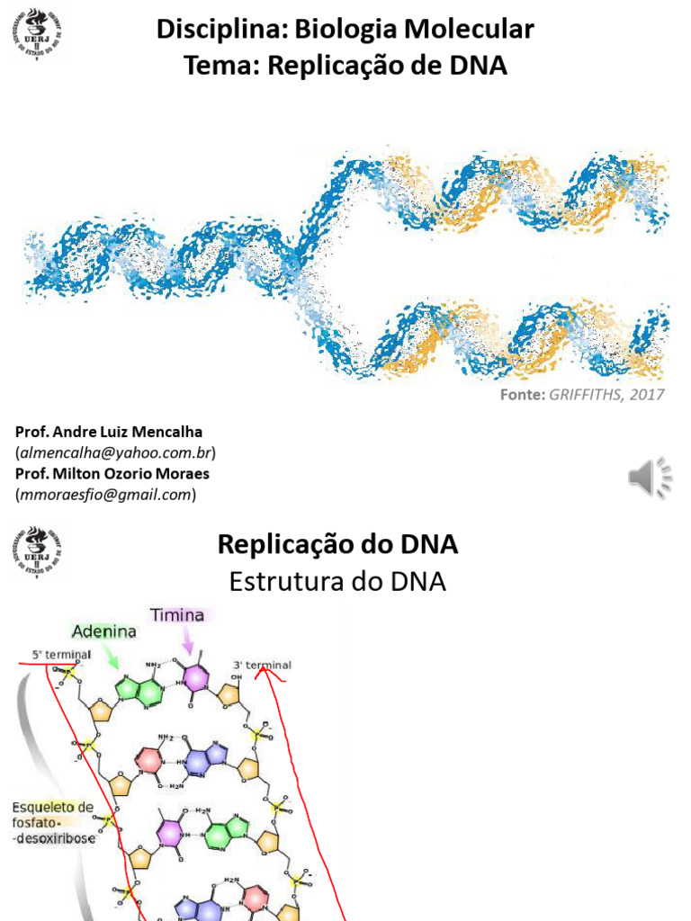 Replicação de DNA: Estrutura e Processos | PDF | Replicação de DNA | DNA
