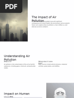 Air Pollution Poster | PDF