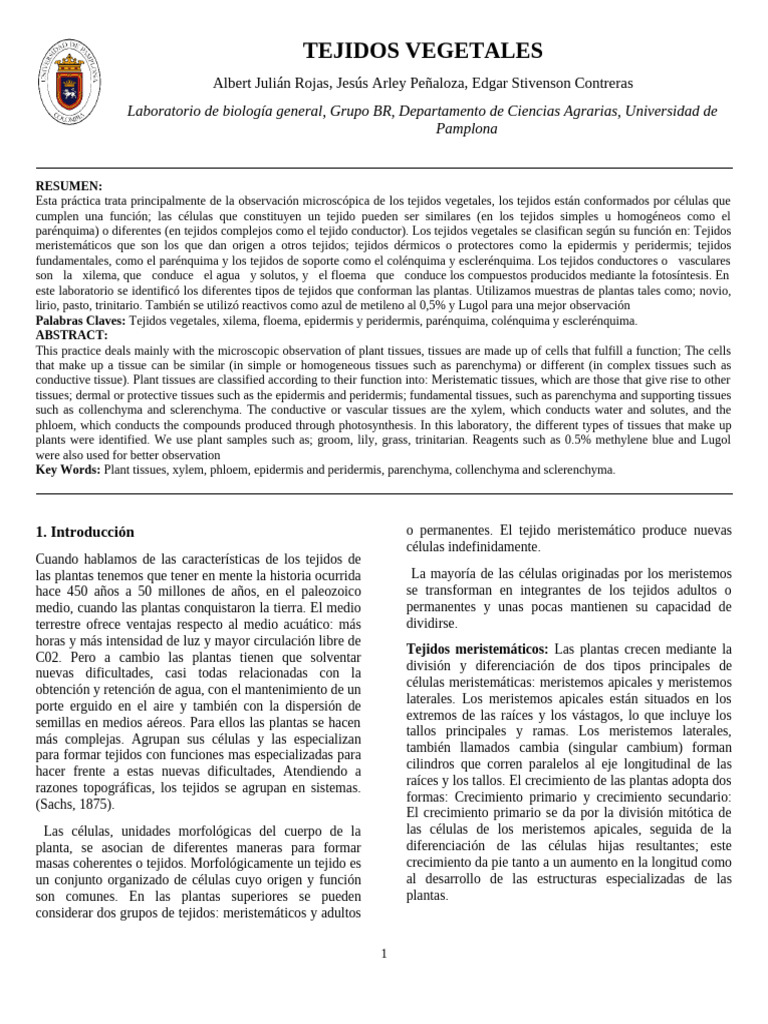 Informe Tejidos Vegetales Biologia | PDF | Morfología Vegetal | Morfología (biología)