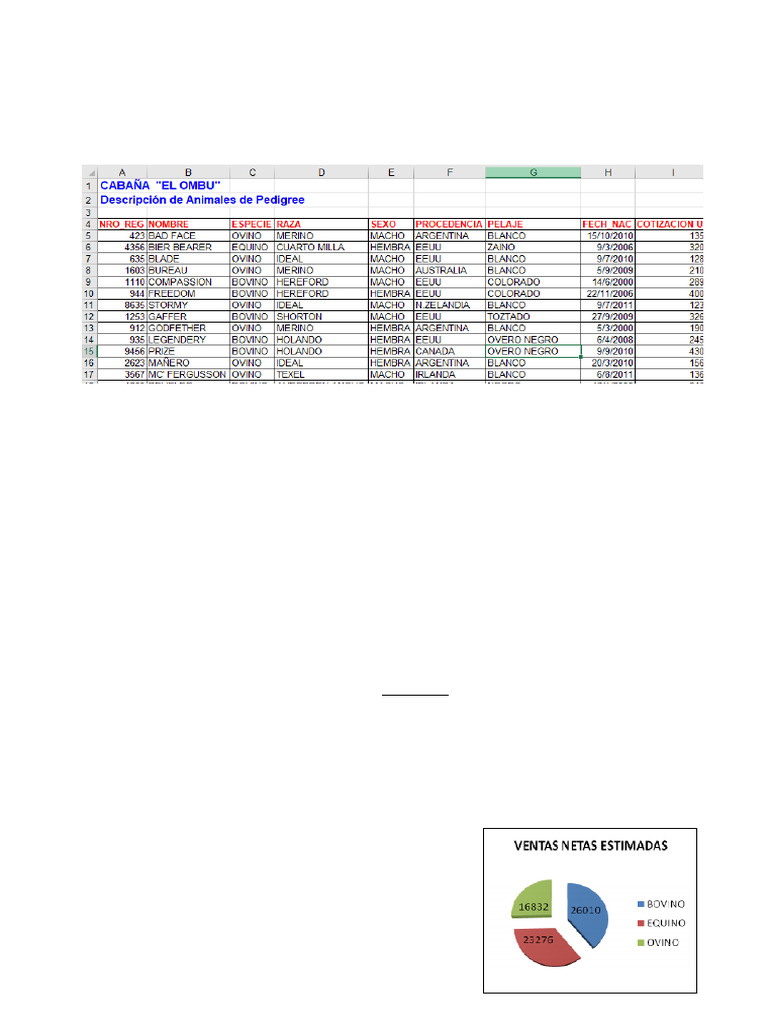 Ejercicio Práctico de Excel: Consultas y Cálculos | PDF | Métodos y ...