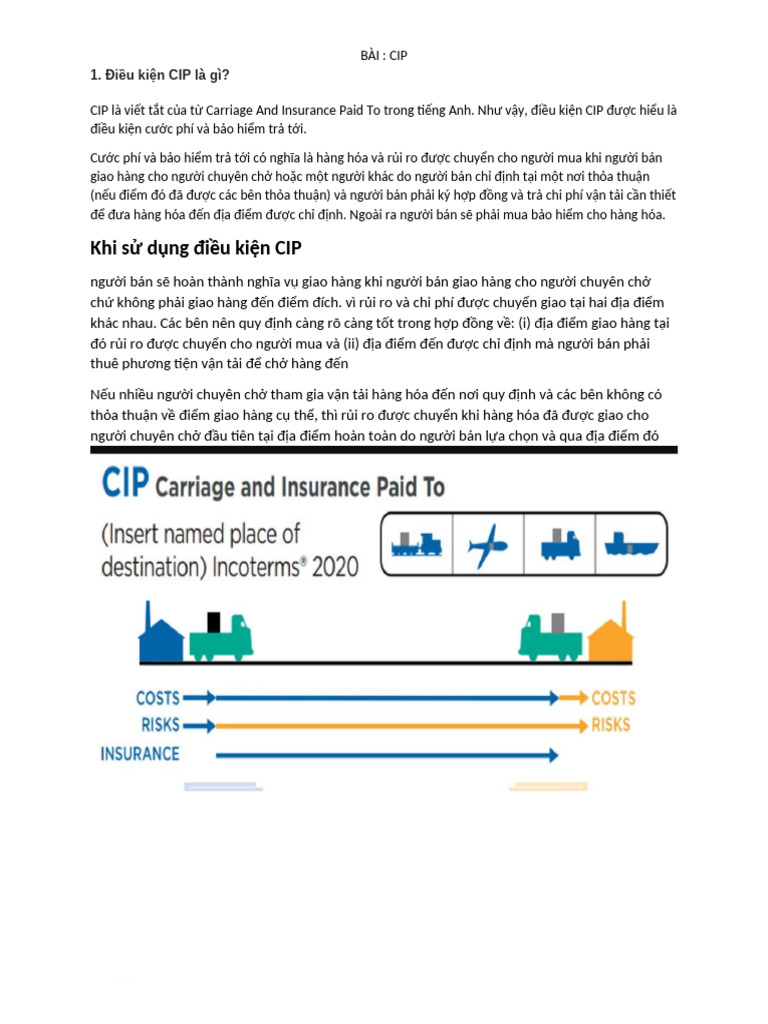 Khi sử dụng điều kiện CIP | PDF