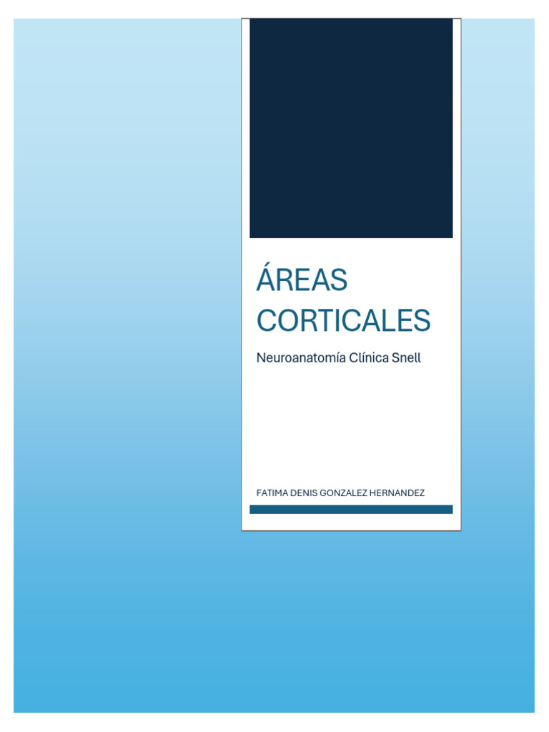 Áreas Corticales y su Función Neuronal | PDF | Sistema somatosensorial ...