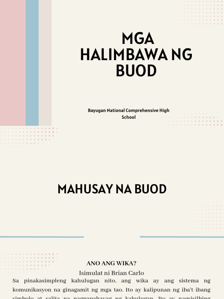Mga Halimbawa NG Buod | PDF
