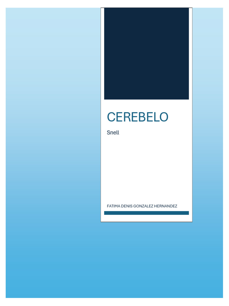 CEREBELO | PDF | Cerebelo | Anatomía