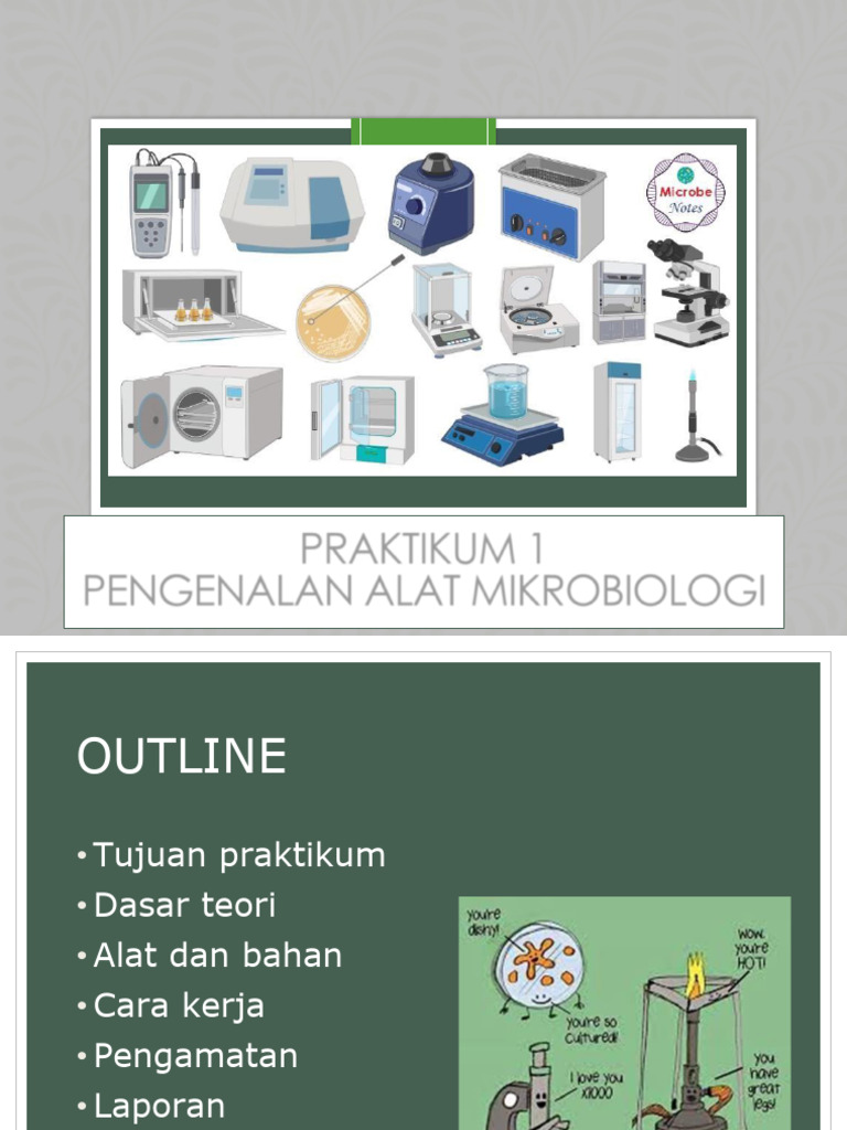 Panduan Praktikum Mikrobiologi | PDF