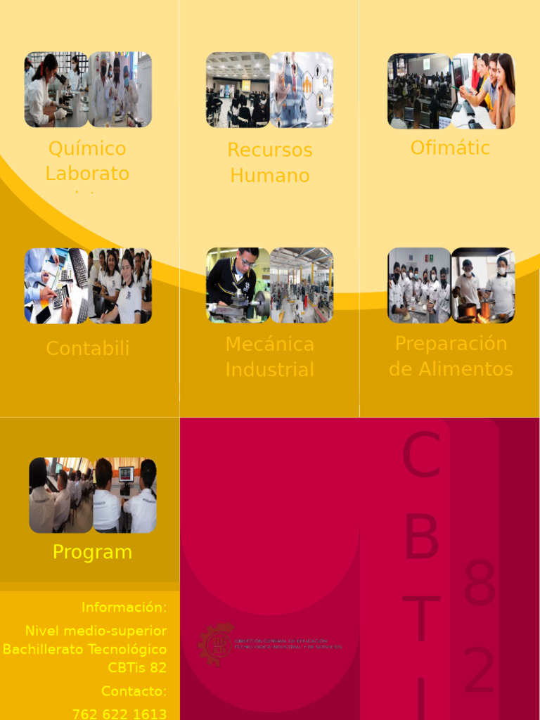 CBTis | PDF