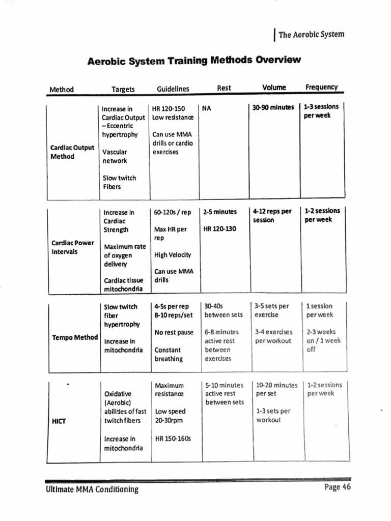 Energy Systems Training | PDF