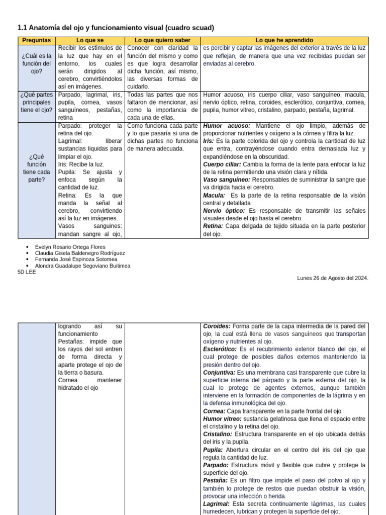 1.1 Anatomía Del Ojo y Funcionamiento Visual (Cuadro Scuad) : Preguntas ...