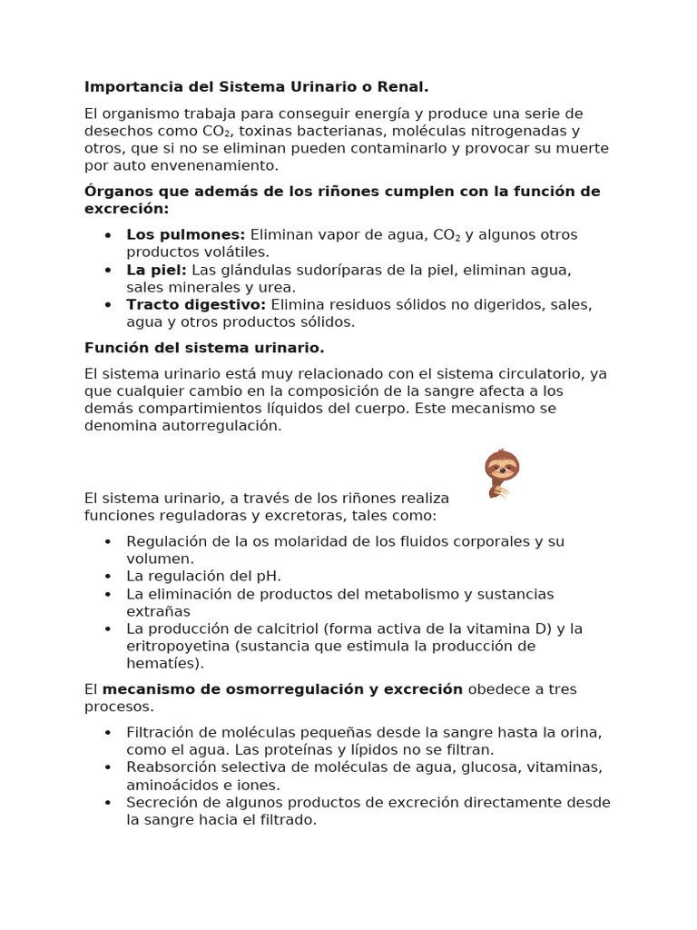 Documento 3 | PDF | Riñón | Sistema urinario