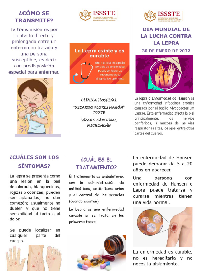 Lepra: Transmisión, Síntomas y Tratamiento | PDF | Lepra | Enfermedades ...