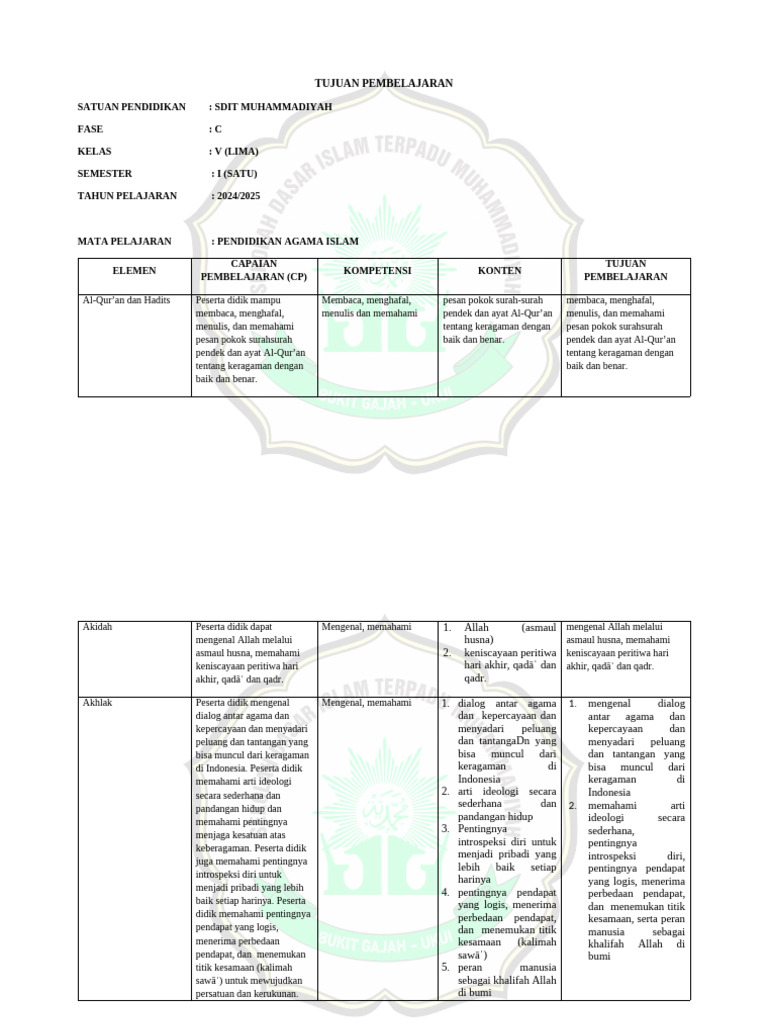 TP Pai 2024.2025 | PDF