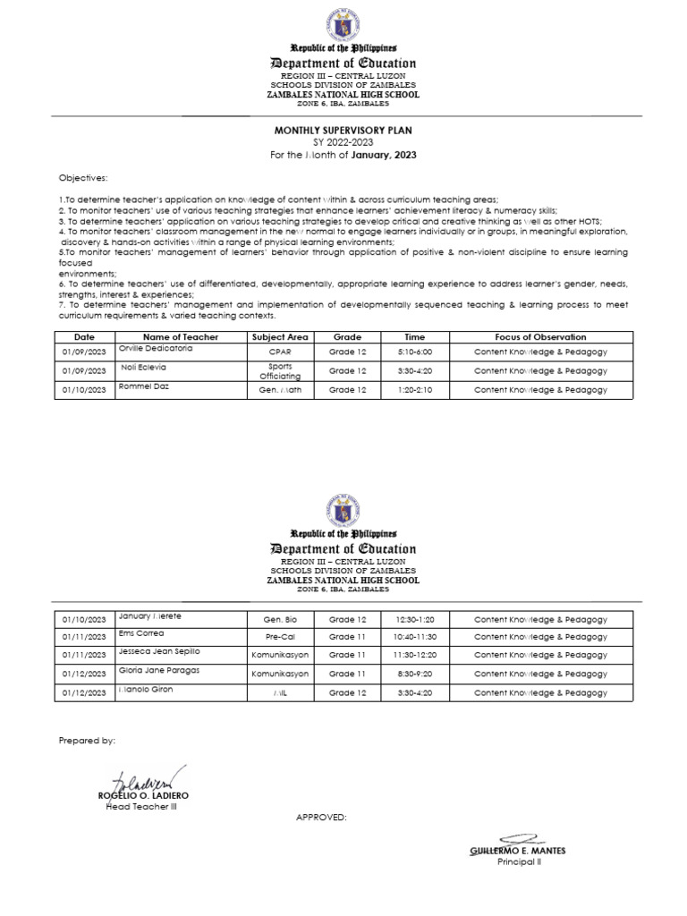 Jel Output - Monthly Supervisory Plan | PDF | Teachers | Pedagogy