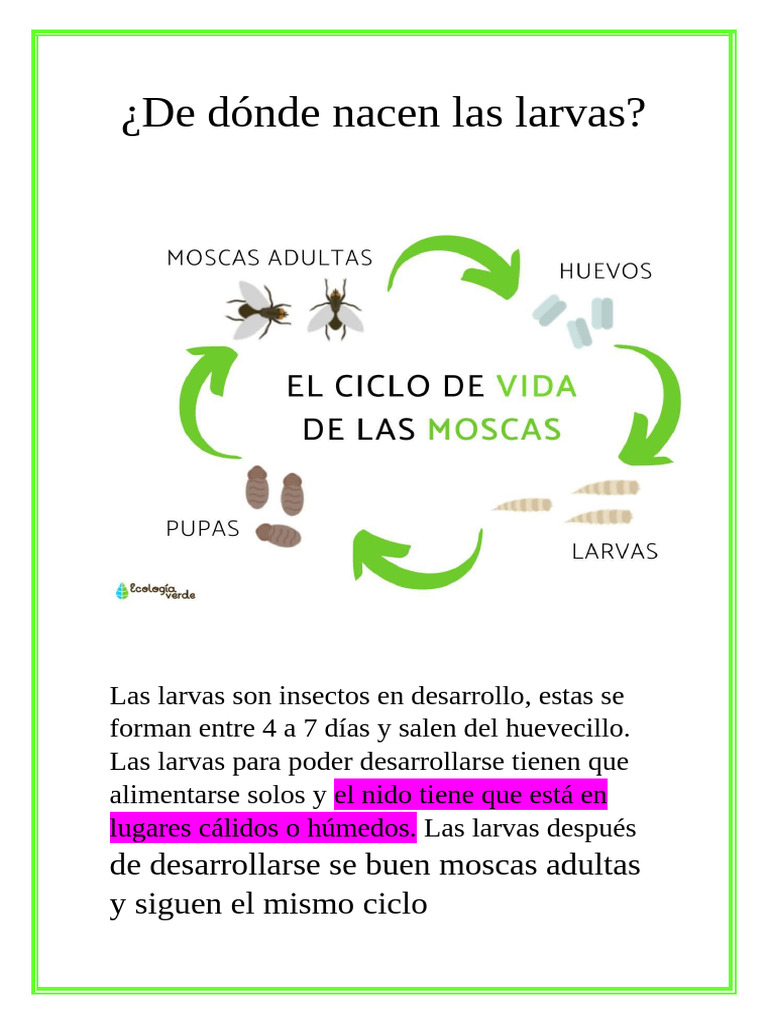Origen y desarrollo de las larvas | PDF