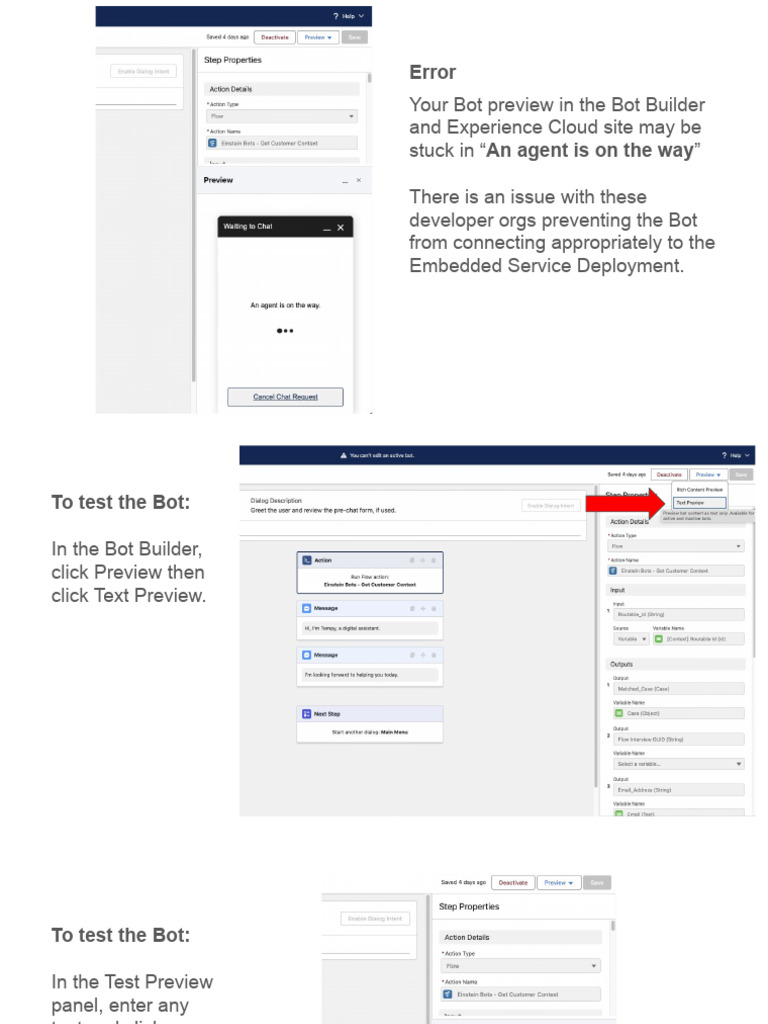 Fix Bot Preview Connection Issues | PDF