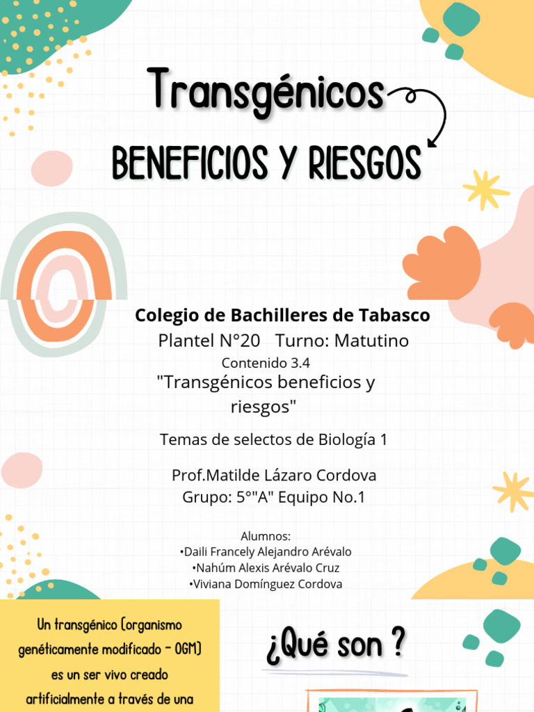 Presentacion Proyecto Creativo Organico Multicolor Pastel - 20241113 - 051348 - 0000 | PDF ...