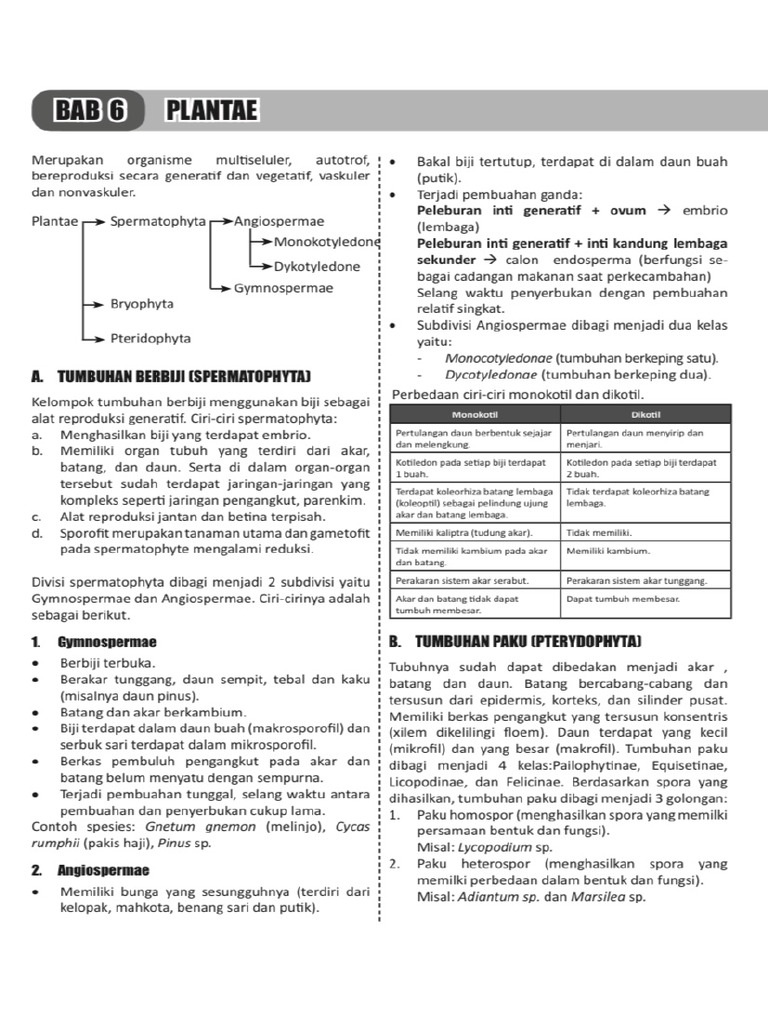 Kingdom Plantae Dan Animalia | PDF