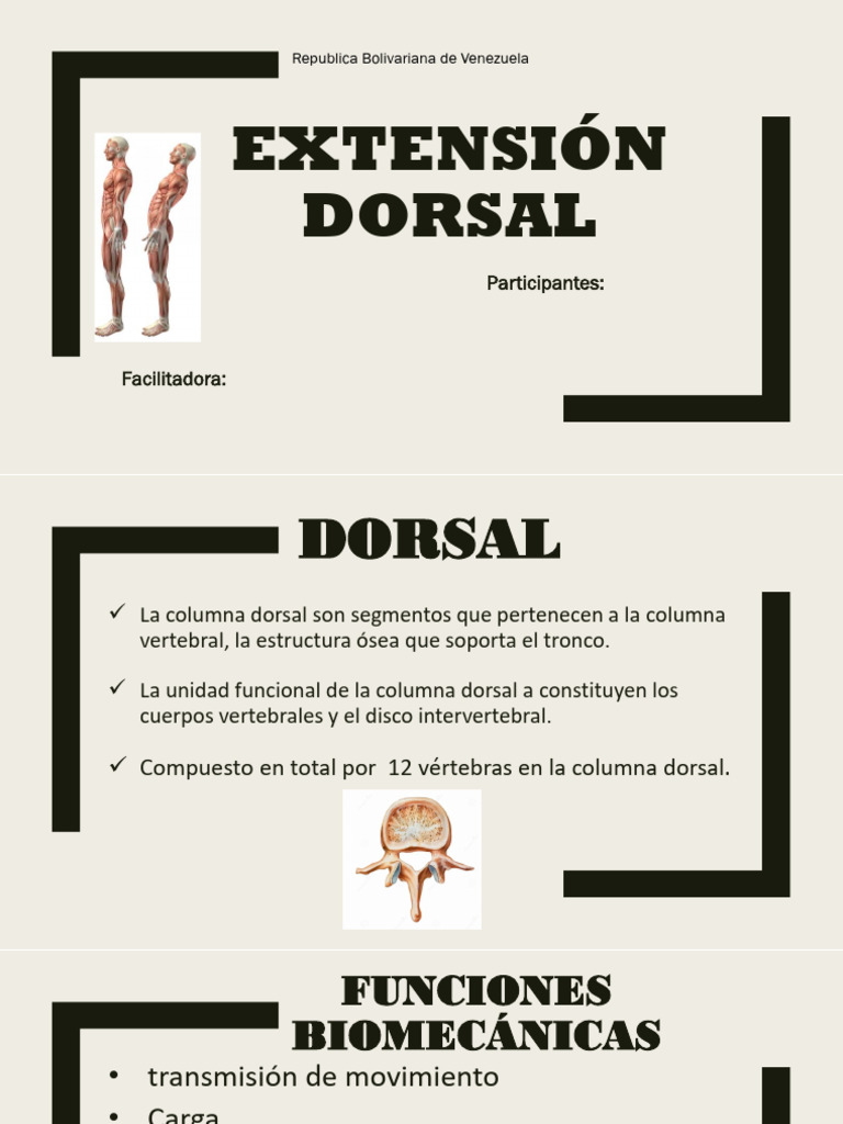 Extensión Dorsal | PDF