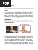 Ankle mmt | PDF | Foot | Anatomical Terms Of Motion