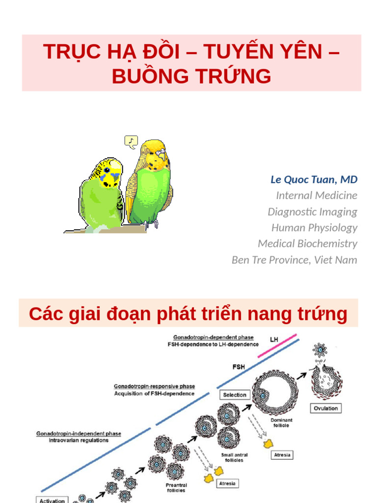 Module YHSS Tren Lop | PDF