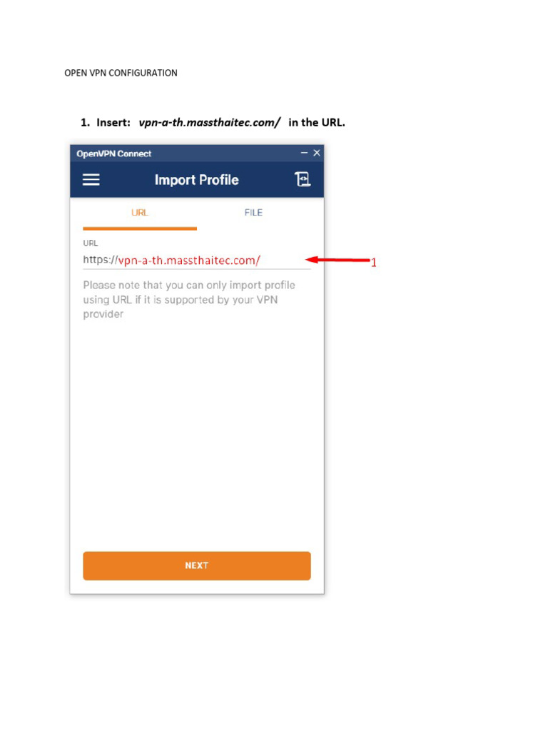 OpenVPN Setup Guide | PDF