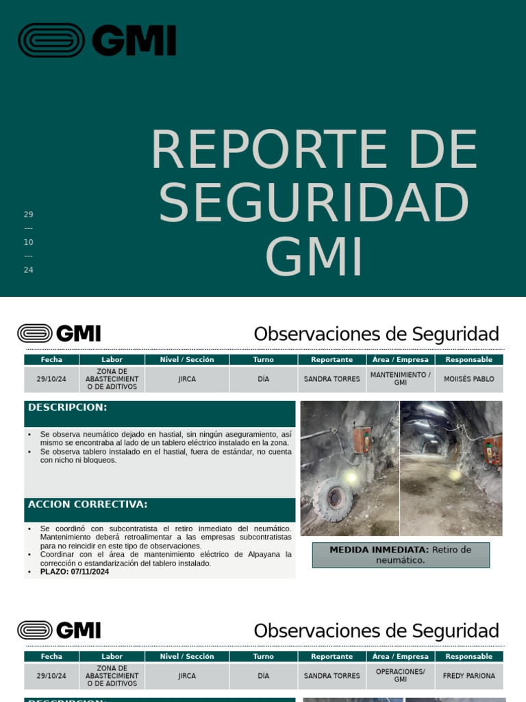 Reporte Seguridad Gmi 29.10.2024 Gmi | PDF
