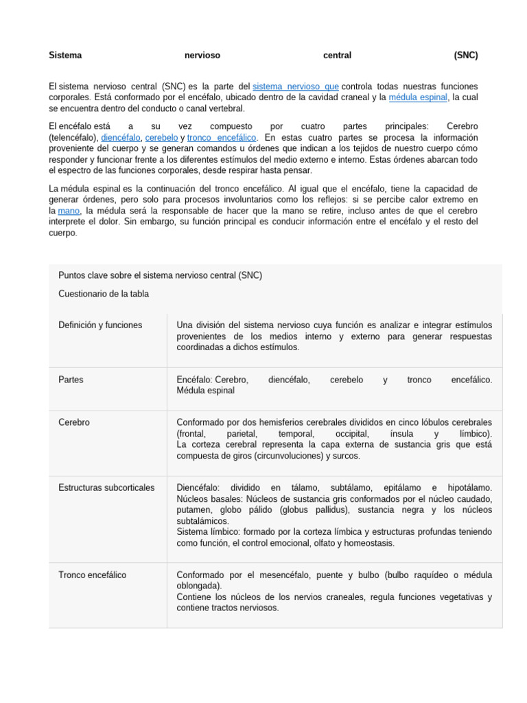 SNC y SNP | PDF | Sistema nervioso central | Cerebro