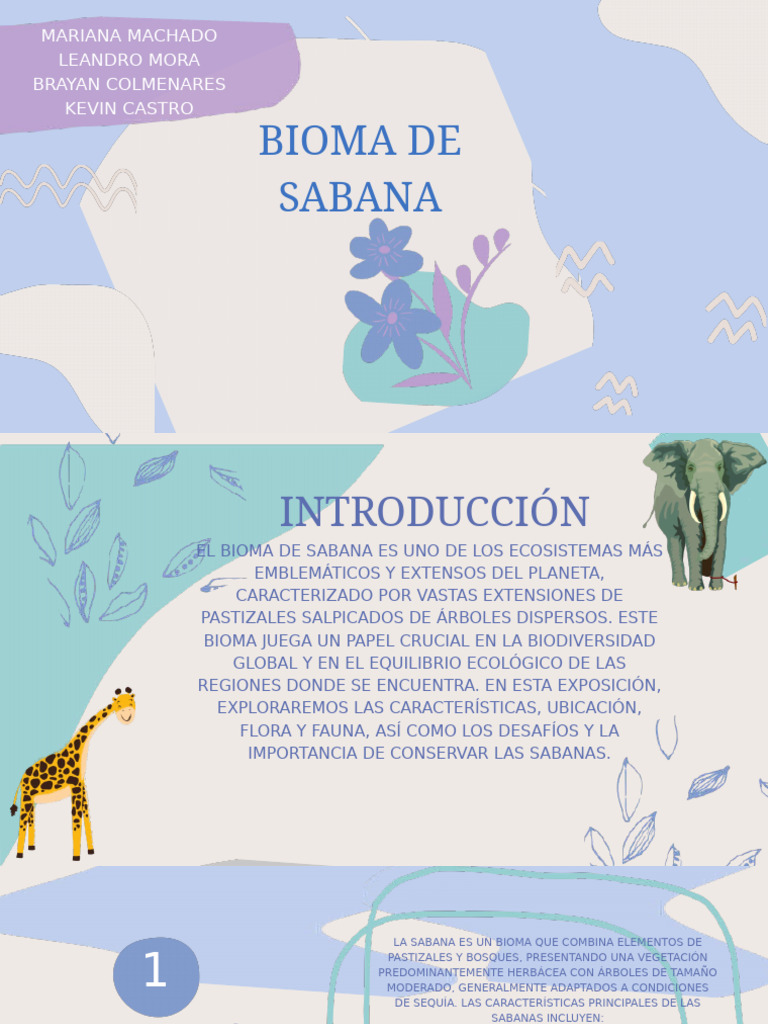 Bioma de La Sabana | PDF | Sabana | Arboles