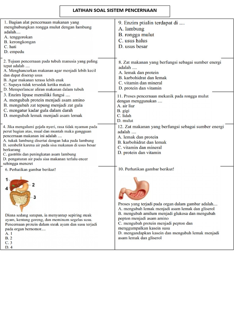 Latihan Sistem Pencernaan | PDF
