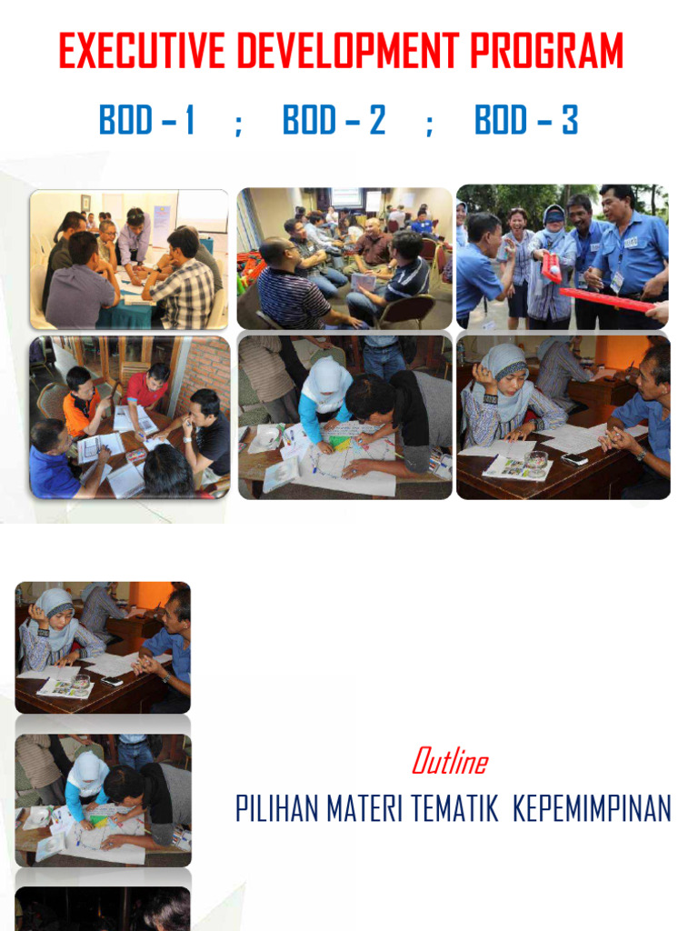 Program Pengembangan Eksekutif | PDF