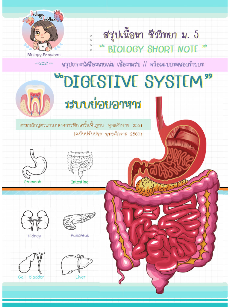 DIGESTION | PDF