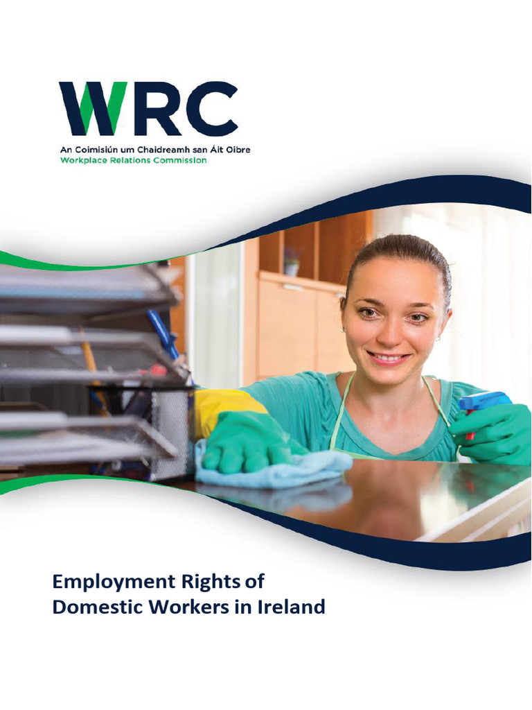Domestic Workers in Ireland | PDF | Employment | Domestic Worker