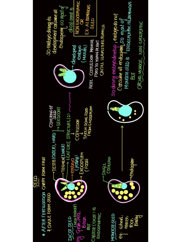Seed | PDF