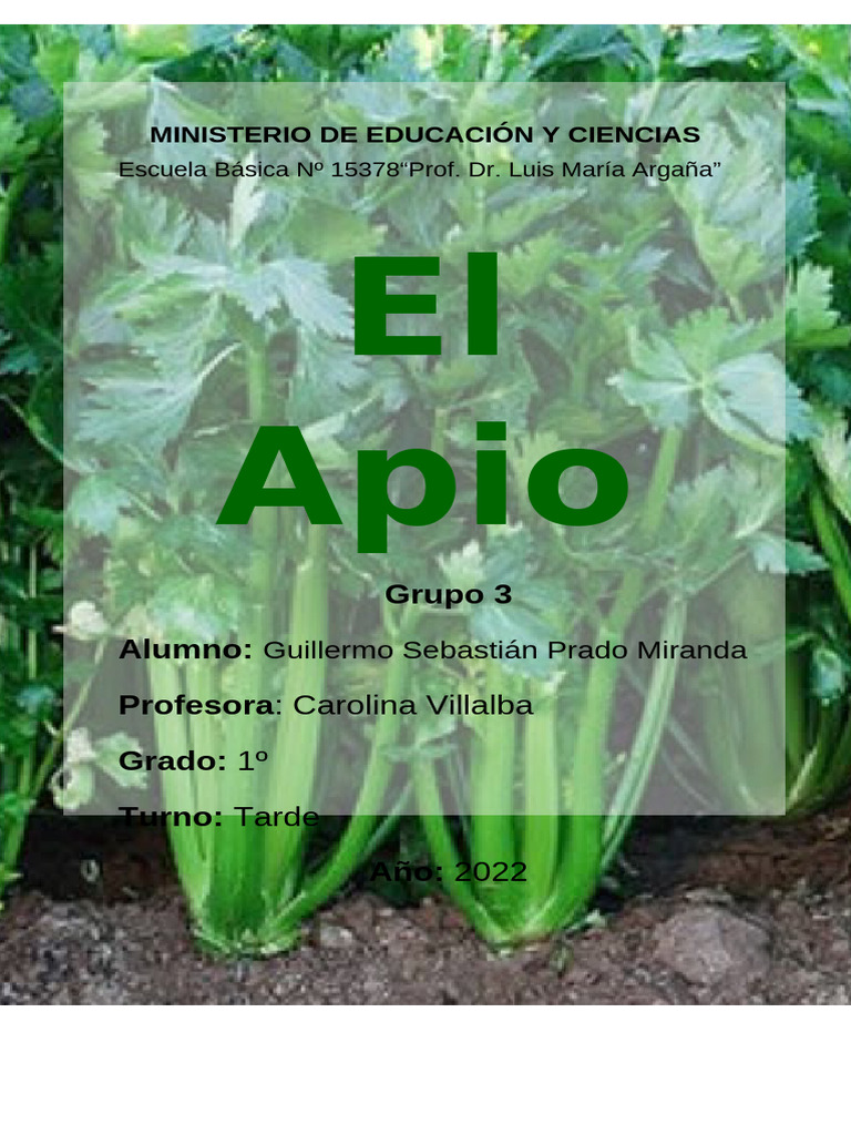 El Apio | PDF | Apio