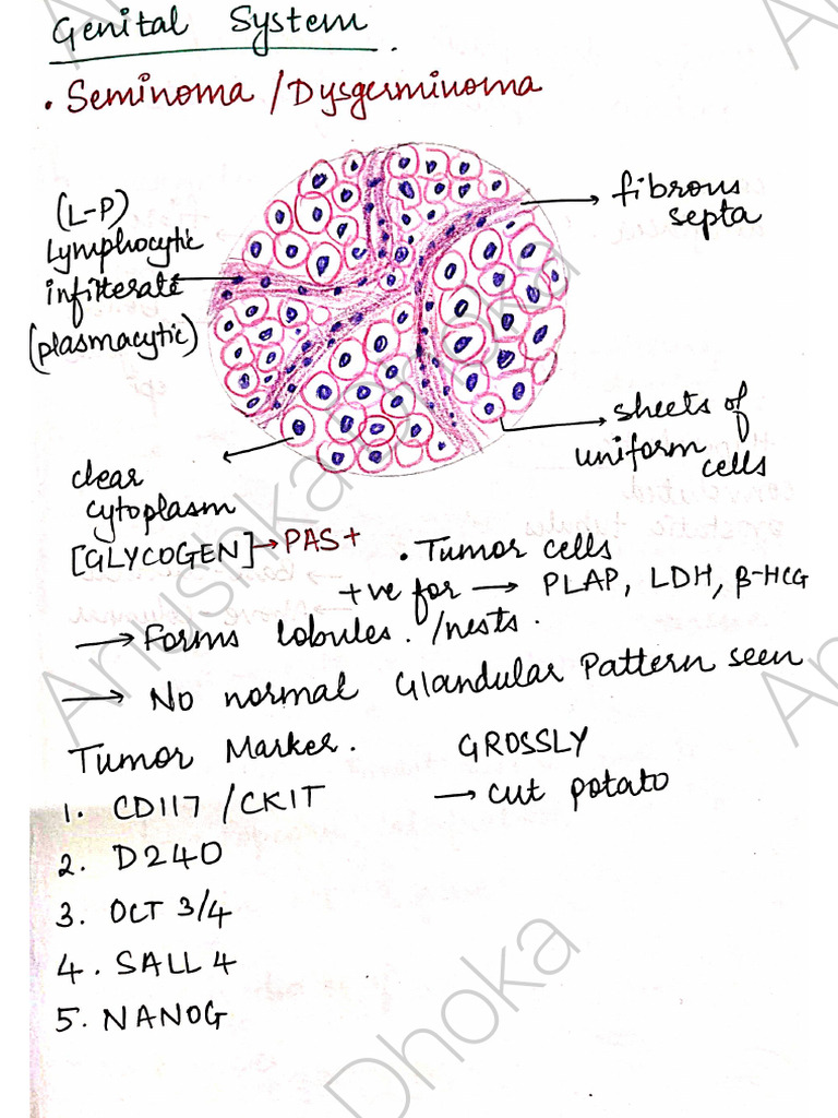 Pathology Diagrams 2 | PDF