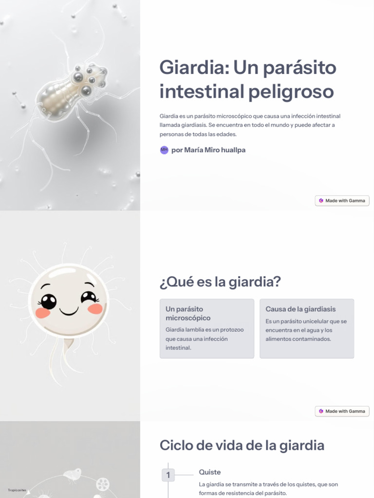 Giardia Un Parasito Intestinal Peligroso | PDF | Diarrea | Medicina CLINICA
