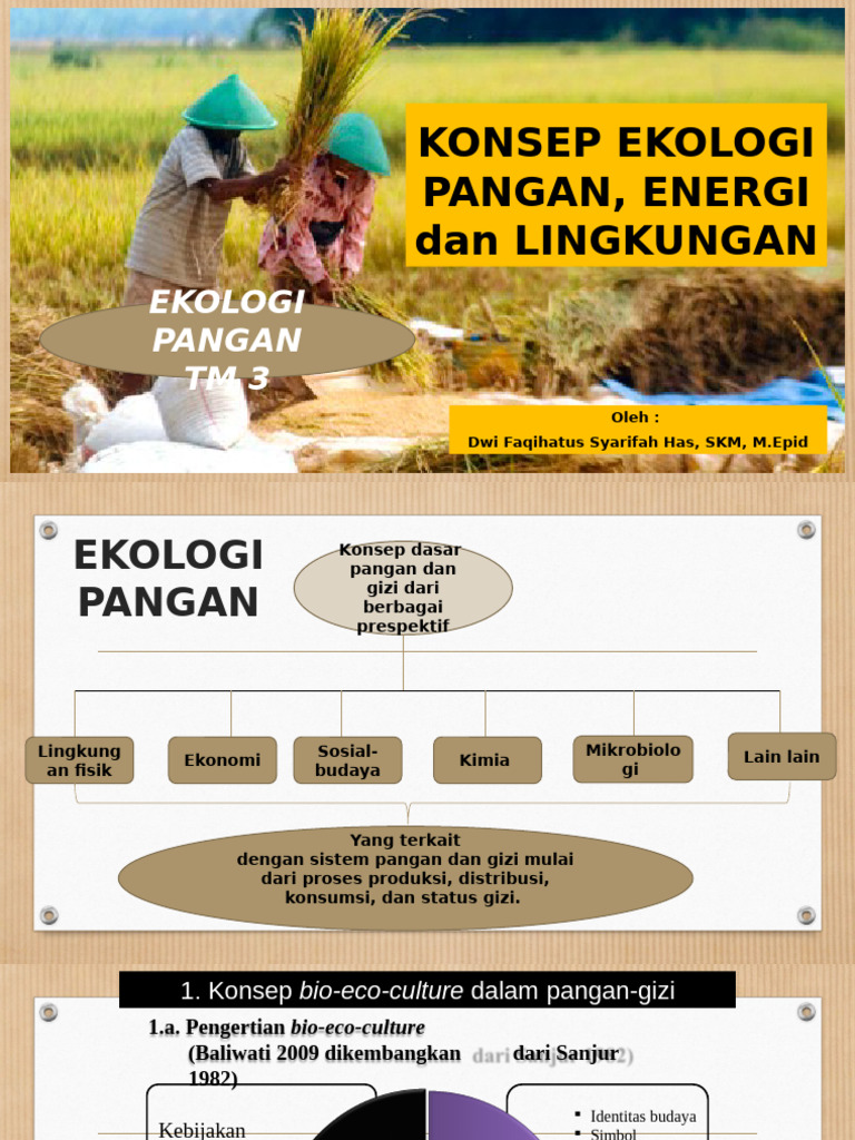 Konsep Ekologi Pangan Dan Energi TM 3 | PDF