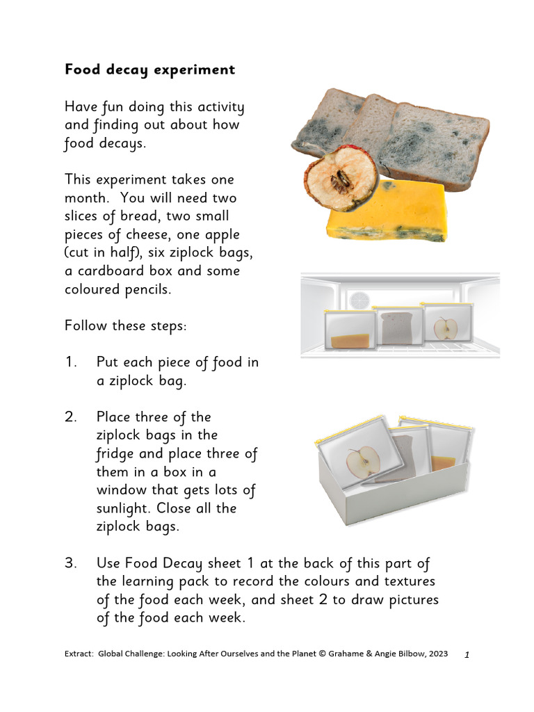 Food Decay Experiment Guide | PDF