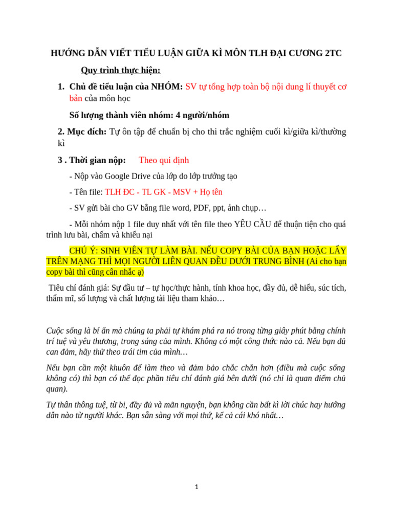 TLH ĐC - Huong Dan Tieu Luan Thuong Ki | PDF