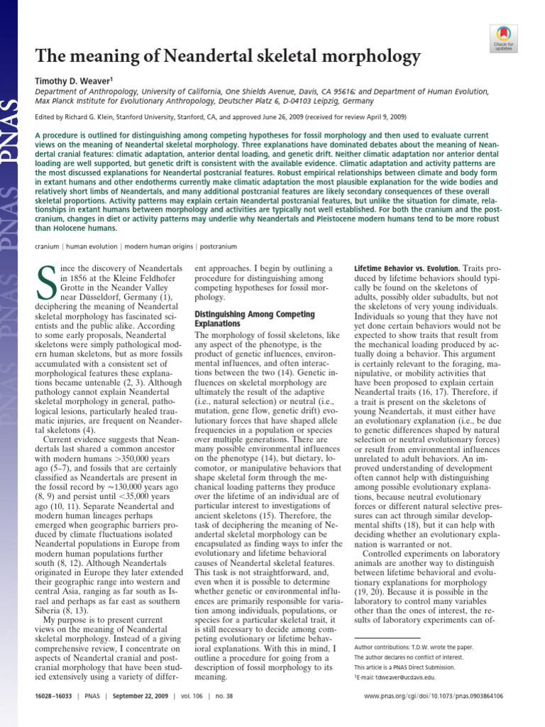 Weaver 2009 The Meaning of Neandertal Skeletal Morphology | PDF ...