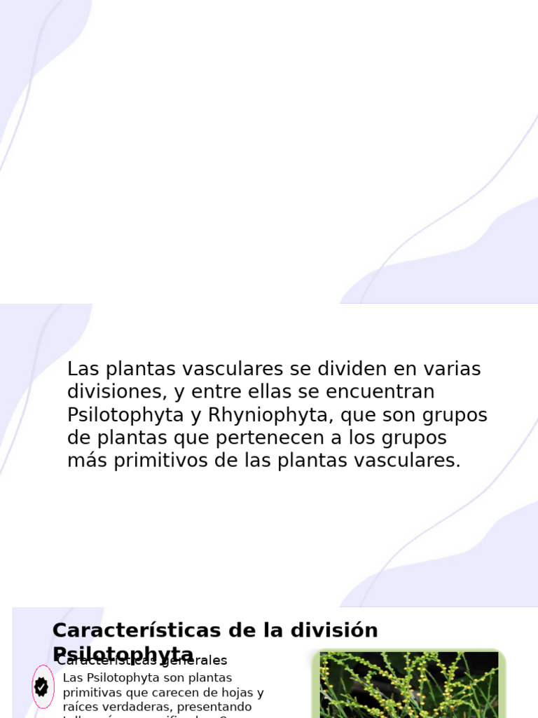 Plantas Psilotophyta y Rhyniophyta | PDF | Plantas | Tallo de la planta