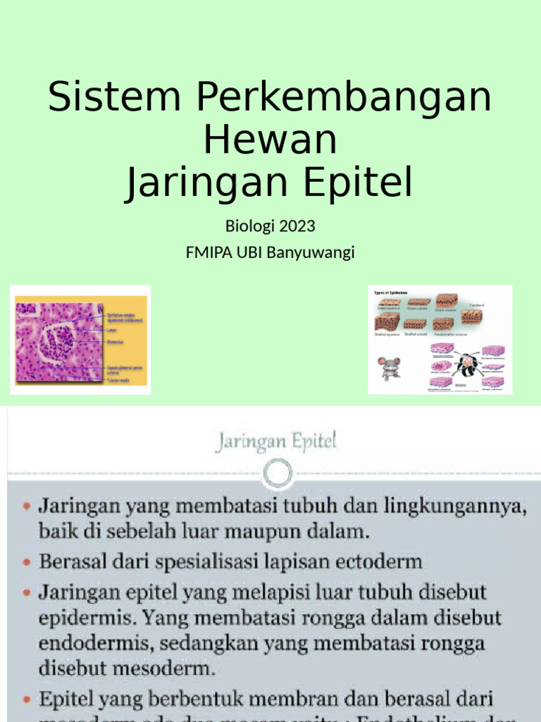 Jaringan Epitel SPH | PDF