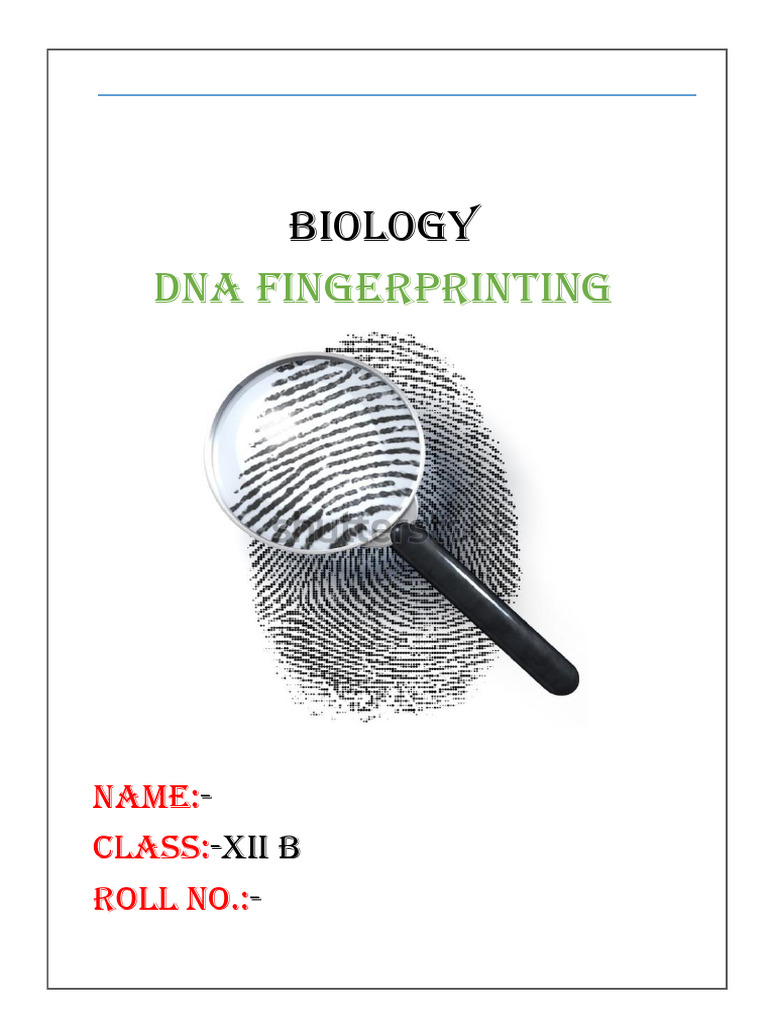 Dna Fingerprinting Bio Project | PDF | Dna Profiling | Microsatellite