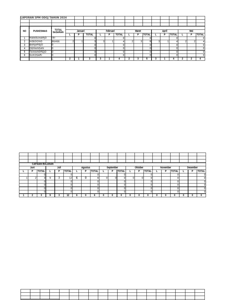 Format Laporan Jiwa 2024-Puskesmas Ngegong | PDF