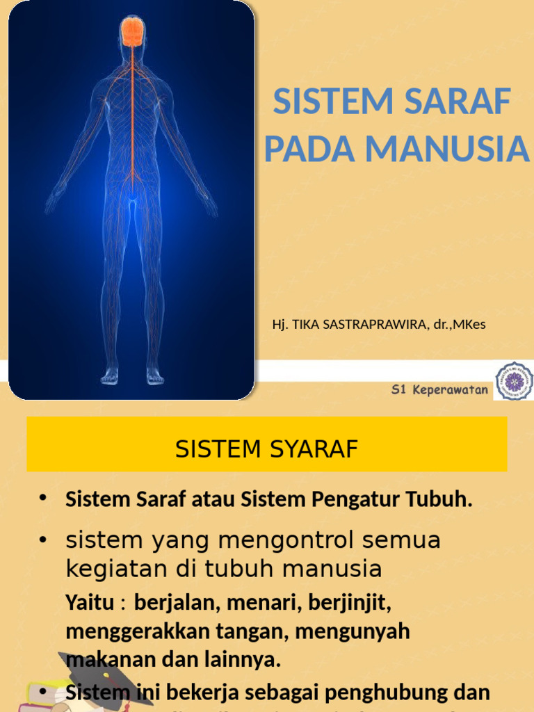 Sistem Saraf | PDF