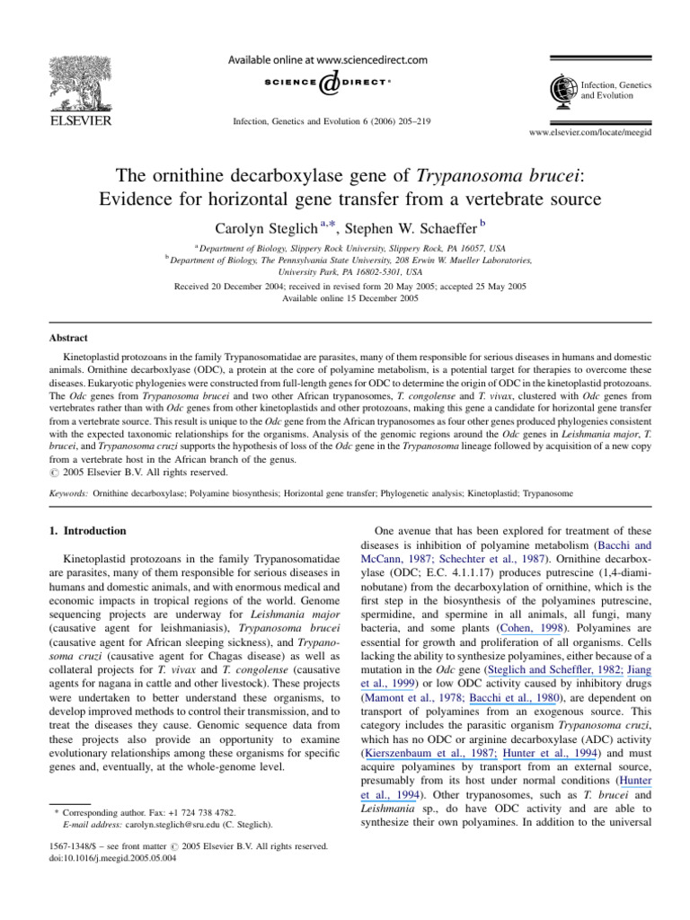 The Ornithine Decarboxylase Gene of Tryp | PDF | Gene | Transposable Element