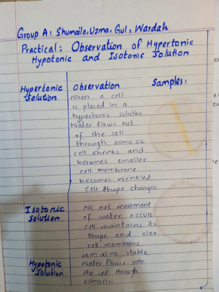 Zoology Lab Report 2 | PDF