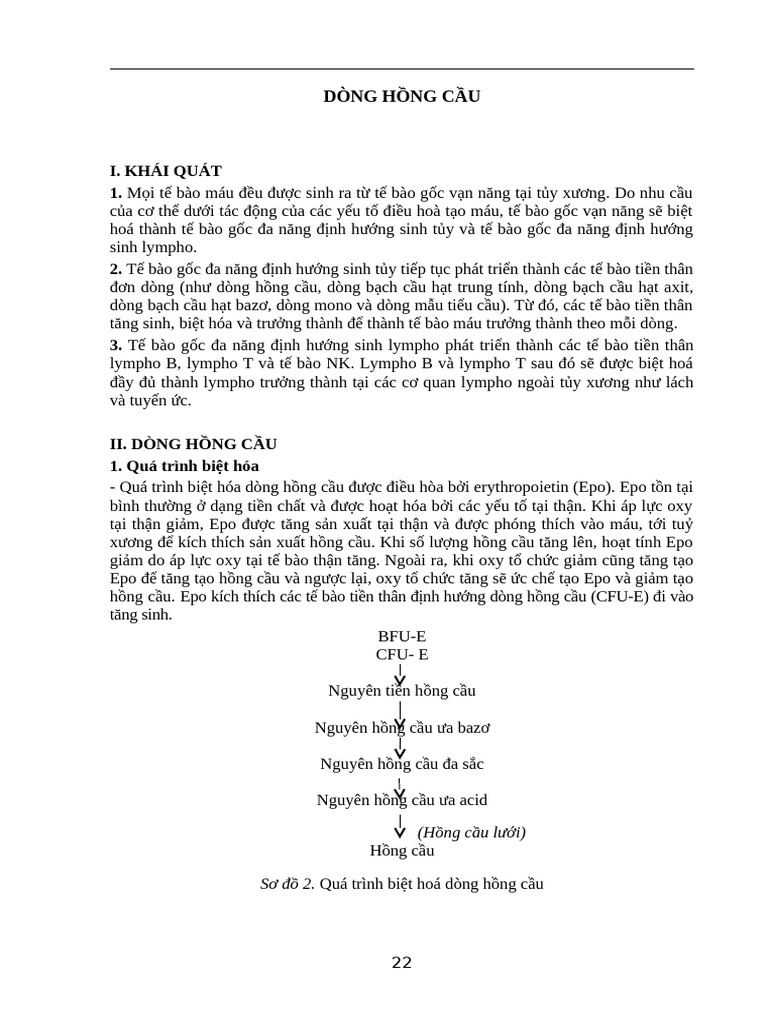 BGHuyethoccoso Module 7 | PDF