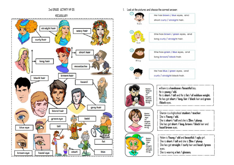 Describing People | PDF