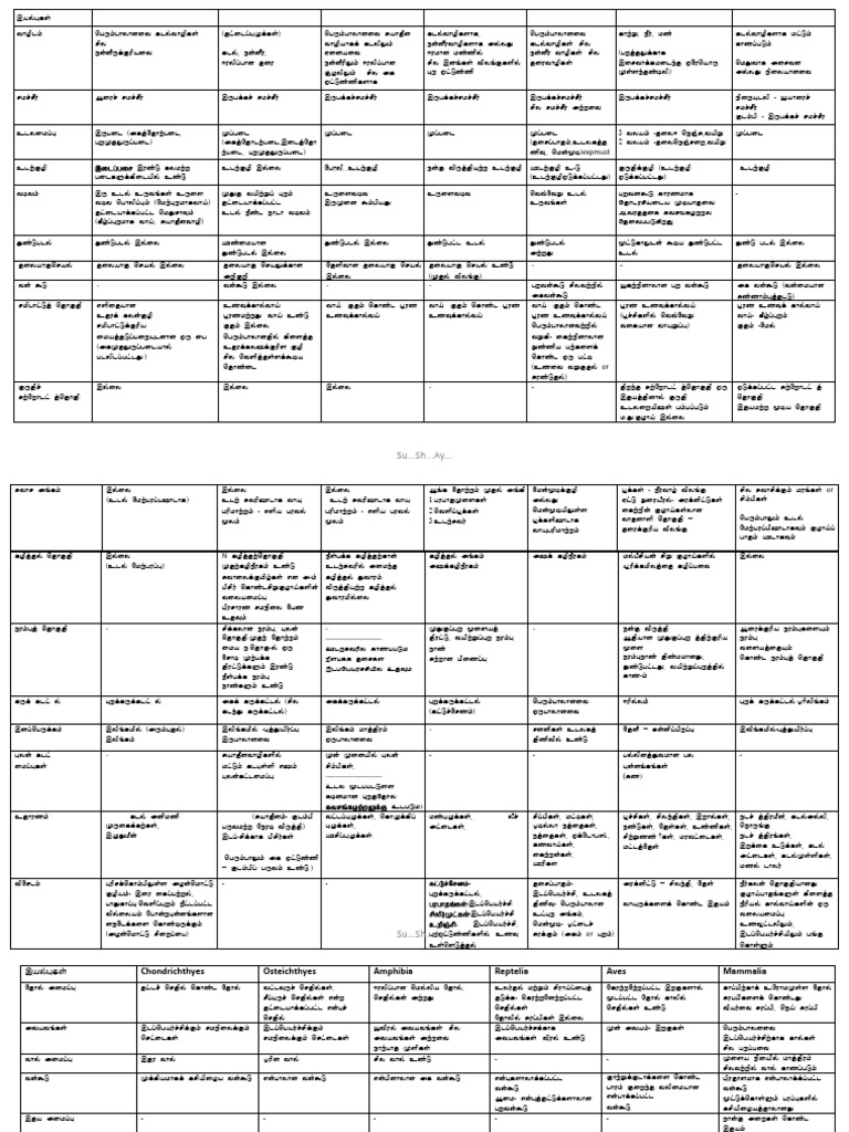 Diversity Chart..... - Copy (Autosaved) | PDF