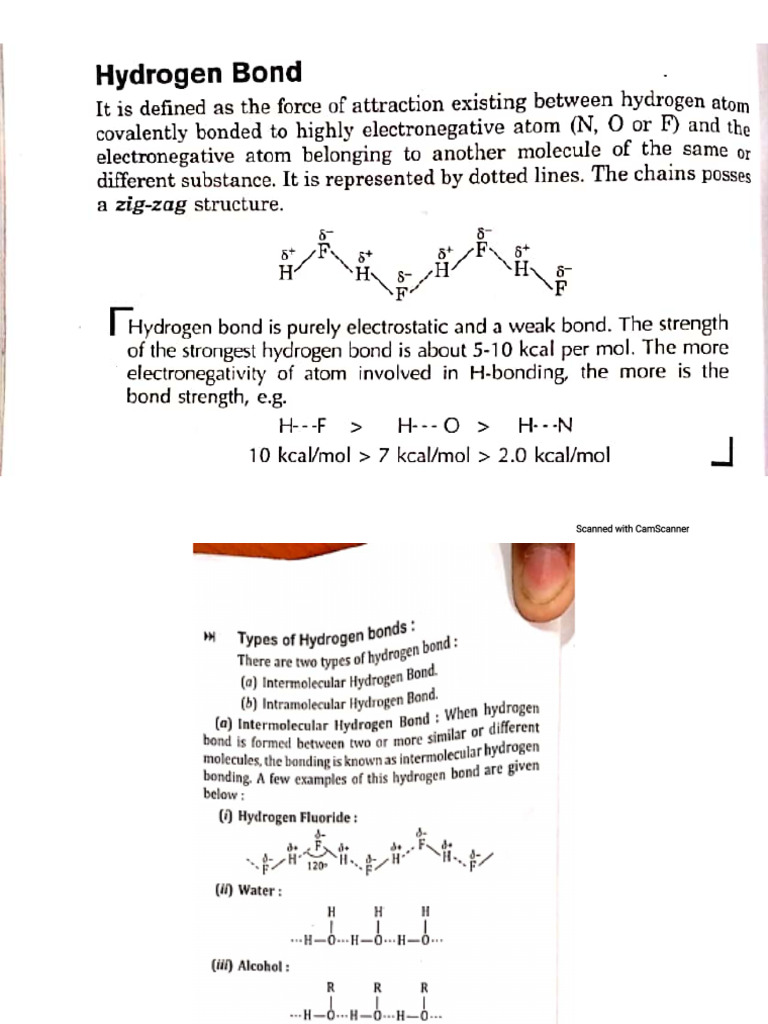 Hydrogen Bond | PDF